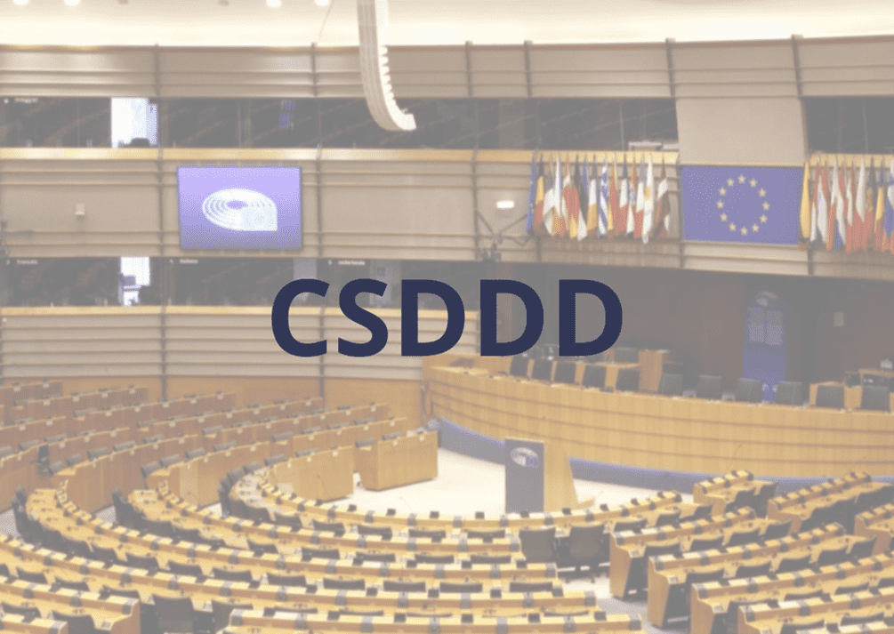 EU Advances Corporate Due Diligence Directive (CSDDD)